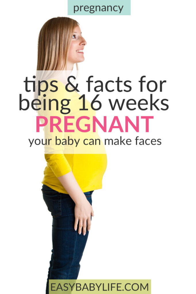 16 Weeks Pregnant! Symptoms, Fetal Development, Belly, Diary