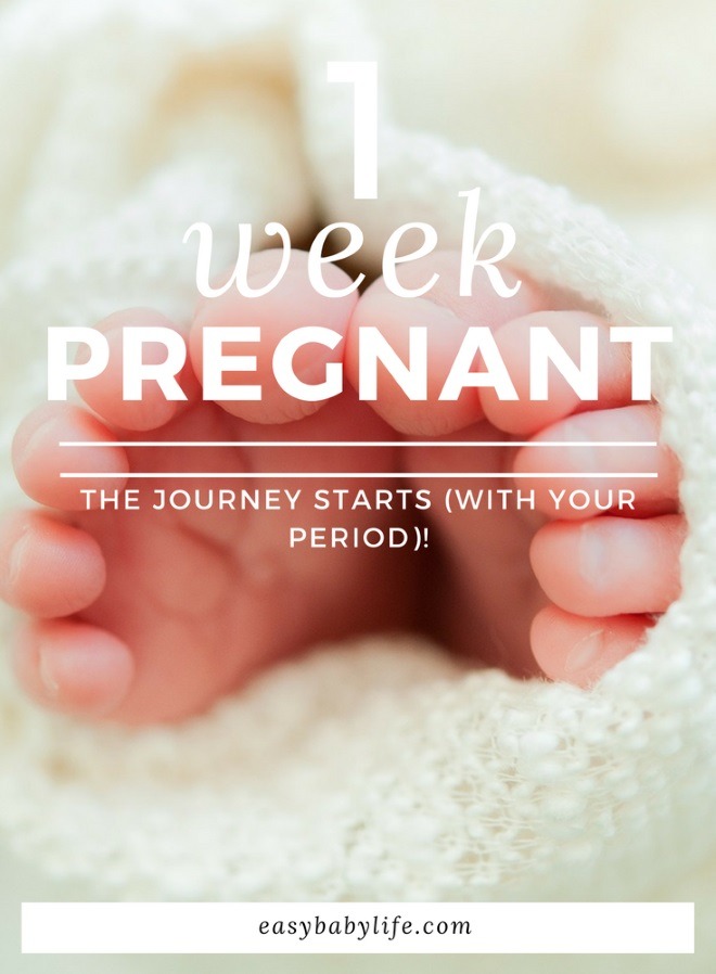 1 week pregnant info - Easy Baby Life