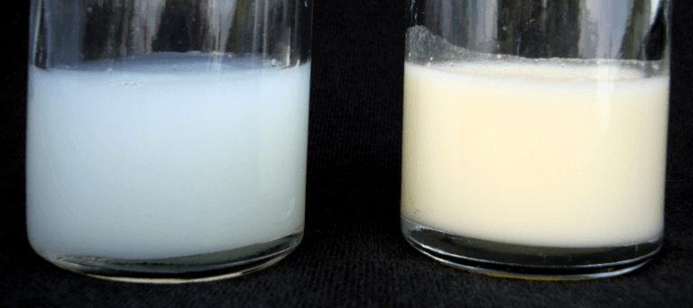 9 Magic Components Of Breast Milk & How They Benefit Baby