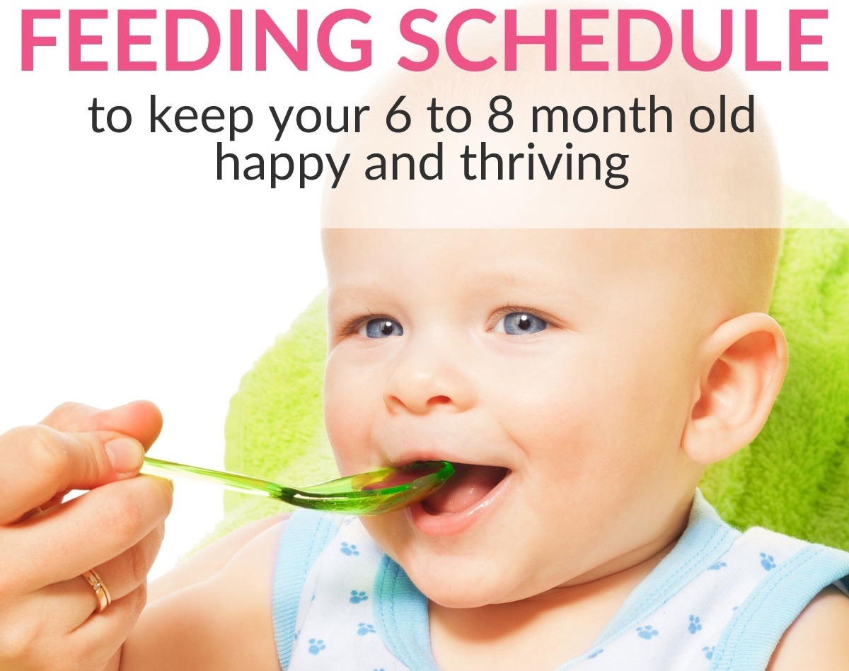 8 Month Old Feeding Schedule Examples And Forms 8 Month Old Feeding Schedule Examples And Forms
