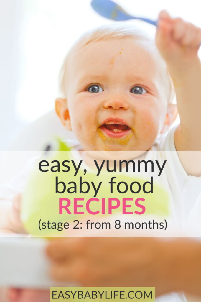 10 Easy, Yummy Baby Food Recipes Stage 2 to Try Right Now