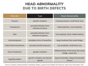 Baby's Head Shape: 8 Reasons for Uneven Skull, When to Worry