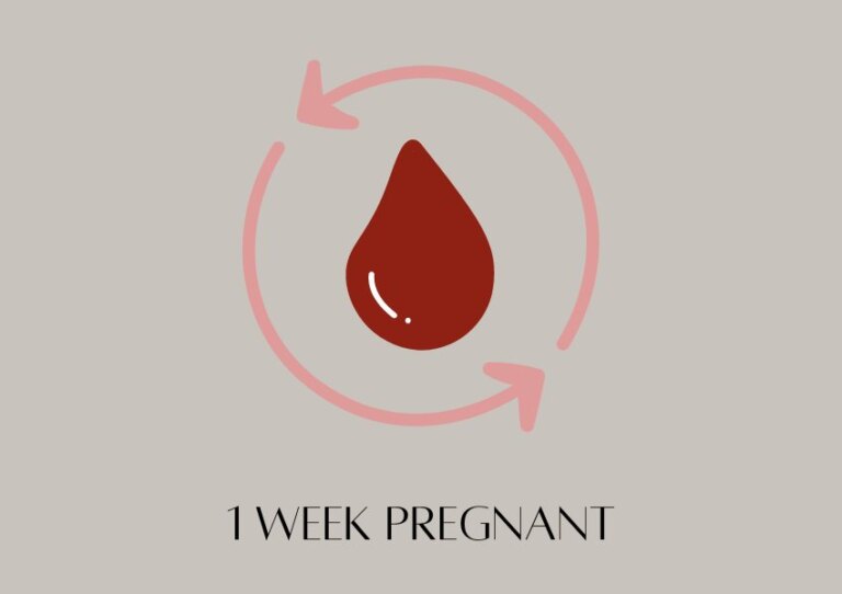 How Big Is My Baby? Fun Pregnancy Fruit Size Chart By Week