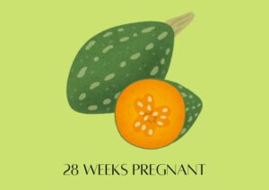 How Big Is My Baby? Fun Pregnancy Fruit Size Chart By Week