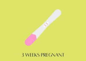3 Weeks Pregnant And Time For Conception - Exciting times!
