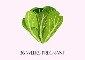 How Big Is My Baby? Fun Pregnancy Fruit Size Chart By Week
